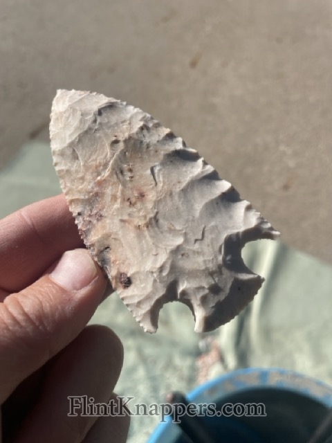 Snyders (Multi-Colored Bullseye)