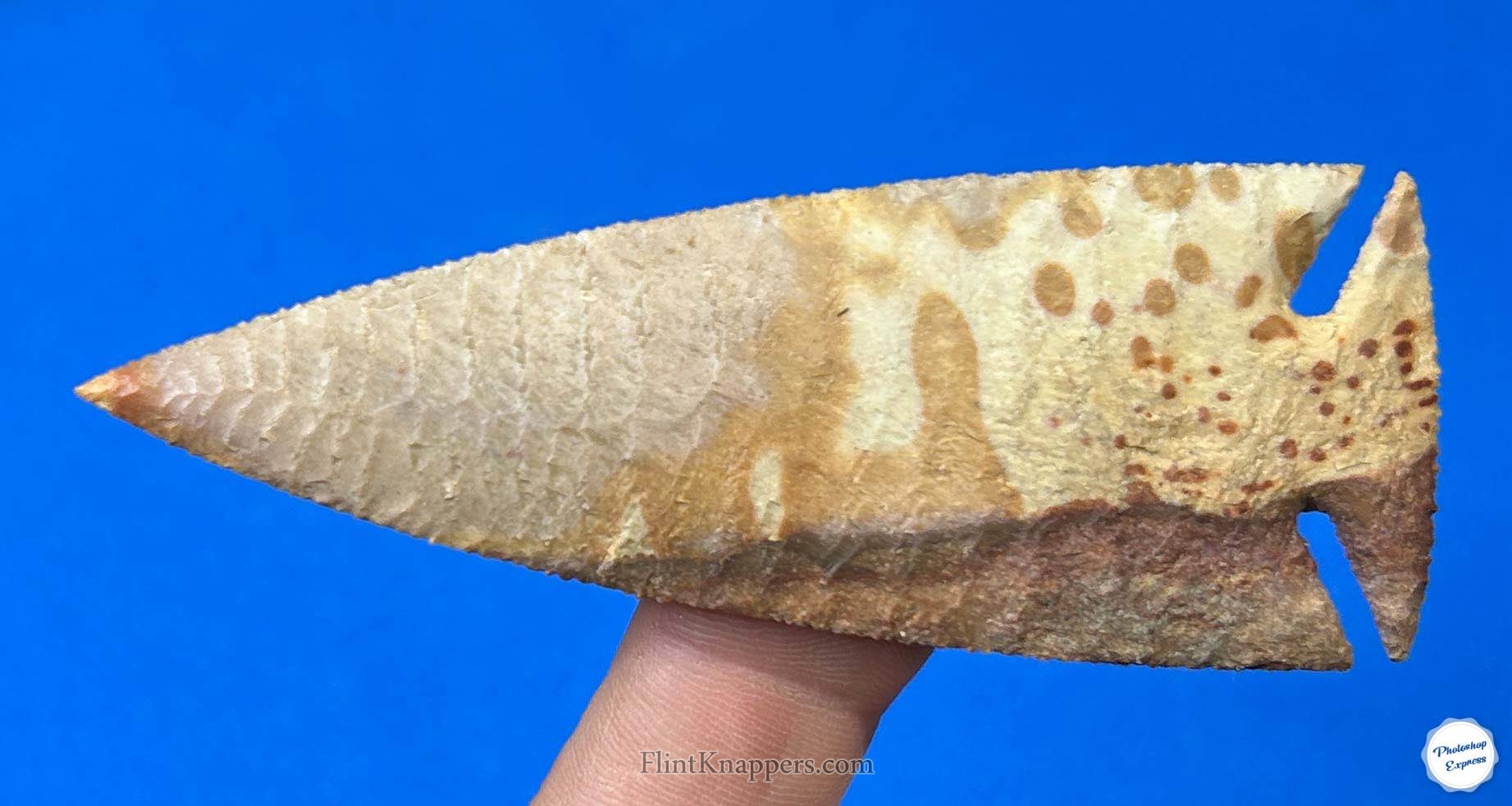 Painted Buffalo River Cornernotch