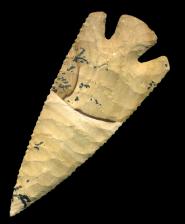 Basal-notch - Jim Hopper