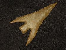 Jasper Gunther Barbed Point